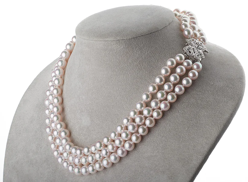 Akoya Oyster - AKOYA HOUSE